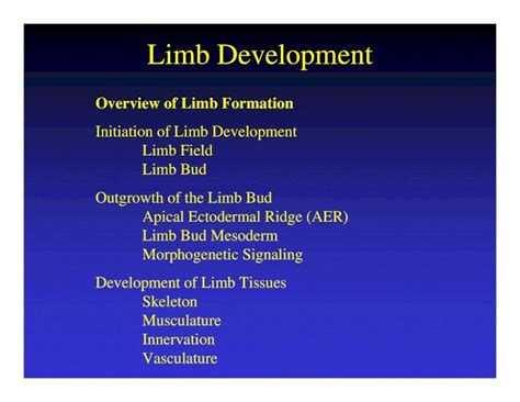 PDF Limb Development DOKUMEN TIPS