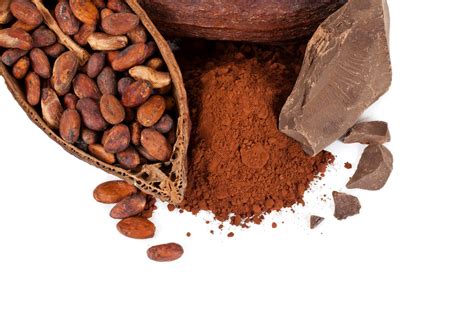 Se celebra el Día Mundial del Cacao: la historia y los beneficios de ...