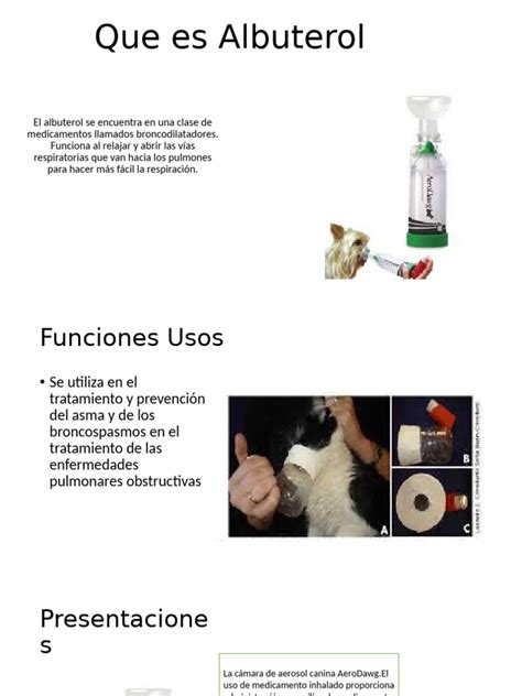 Broncodilatadores Valentina Pdf