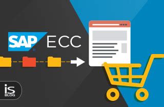 SAP ECC Items