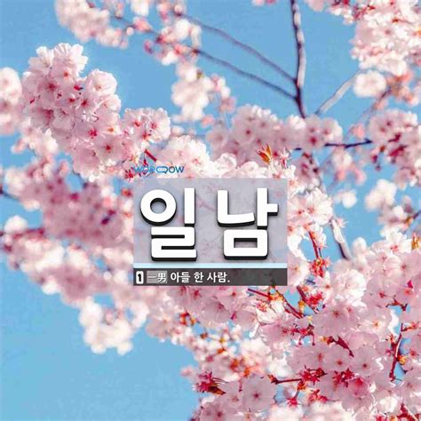 일남 뜻 아들 한 사람