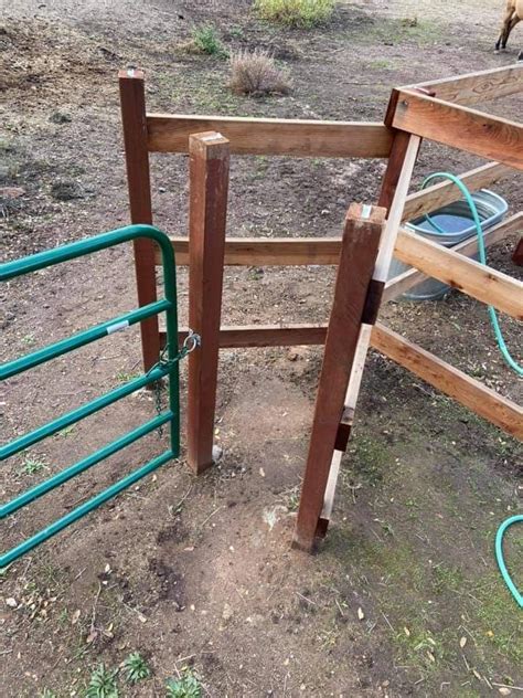 Horse Manure An Easy Guide To Composting Artofit