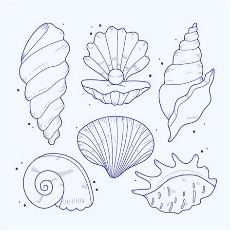 Free Vector Hand Drawn Seashell Outline Illustration