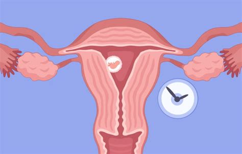 How Long Does It Take To Get Pregnant After Sex Complete Overview Femia