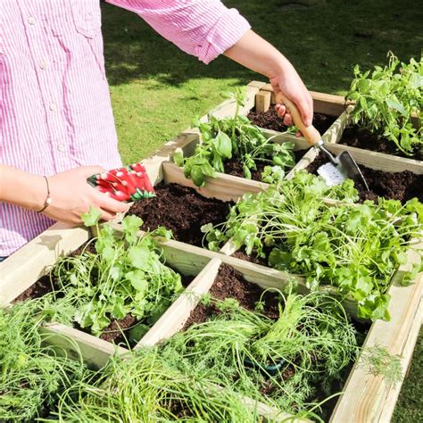 Raised Herb Planter Longsight Home And Garden