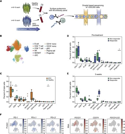 Analysis Of Circulating Immune Cells Within Healthy Individuals And Btc