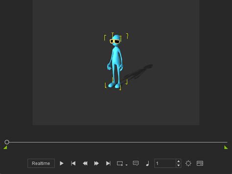 Previewing Custom Range Of Project