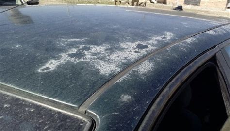 Почему облазит лак на авто и что делать