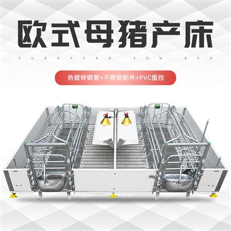 新升级欧式母猪产床单双体小猪pvc围栏漏粪板猪用分娩床全套设备虎窝淘