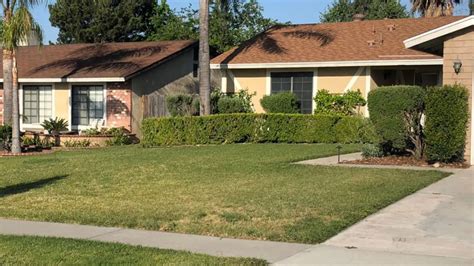 I Got Rid Of My Grass And Filled My Front Lawn With Native Plants My