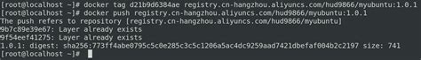 Docker镜像commit操作案例docker Commit Tag Csdn博客