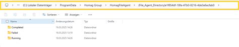 enhanced error handling and data logging homag docs