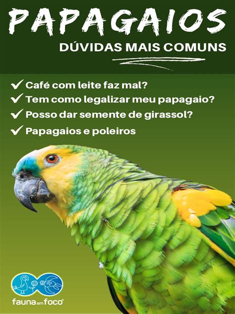 E Book Papagaios Pdf