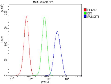 Anti Runx1t1 Eto Antibody Rabbit Anti Human Polyclonal Lsbio