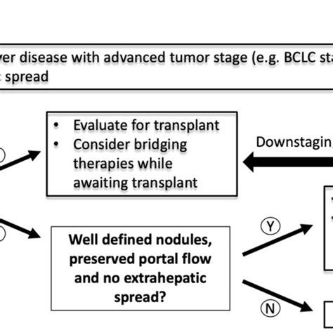 A 62 Year Old Patient With A B A 7 4 Cm Segment 7 Infiltrative Lr M Download Scientific