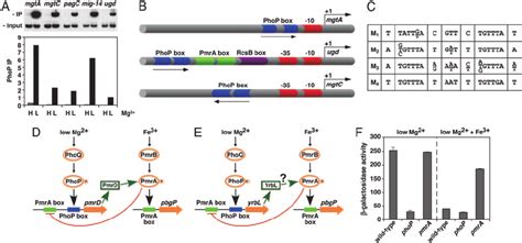 Experimental Validation Of Gps Predictions And Schematic Representation