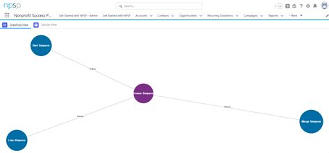 Affiliations In Salesforce Npsp Astrea It Services