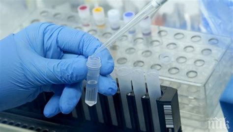 ШОКИРАЩИ РАЗКРИТИЯ Циганинът с коронавирус от Лом отишъл на пазар в Монтана преди да влезе в