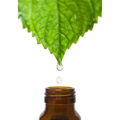 Natural Peppermint Essential Oil Mentha Piperita Kg At Rs Kg In Kannauj