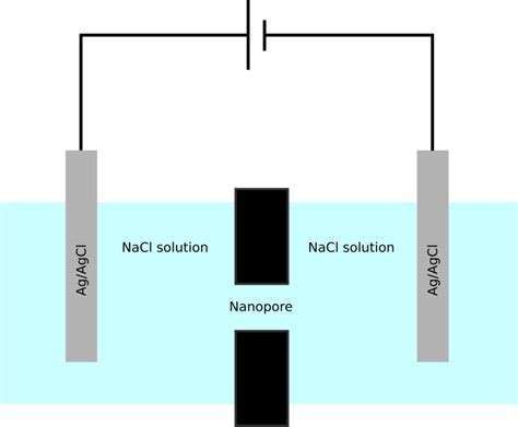 What Electrochemical Reactions Happen In A Nanopore Experiment Using Ag Agcl Electrodes In Nacl