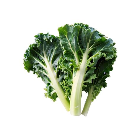 Download Kale A