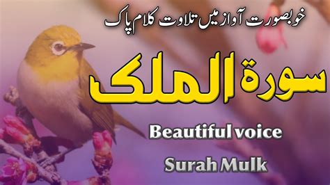 Surah Al Mulk Full Sheikh Sudais With Arabic Text Hd سورة الملك