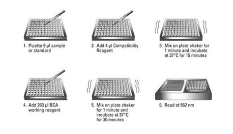 Pierce™ Microplate Bca Protein Assay Kit Reducing Agent Compatible