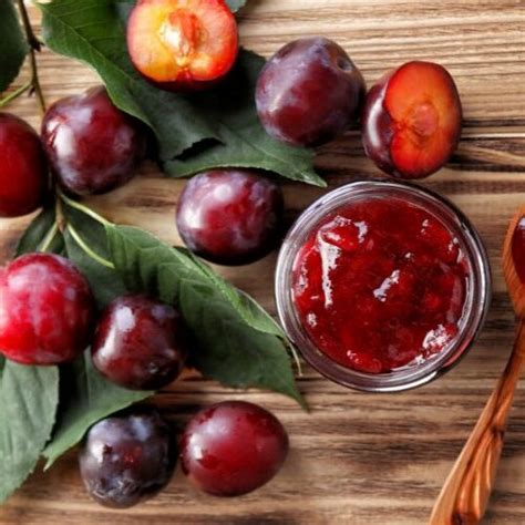Delia Smith Inspired Plum Jam Recipe Foodelity