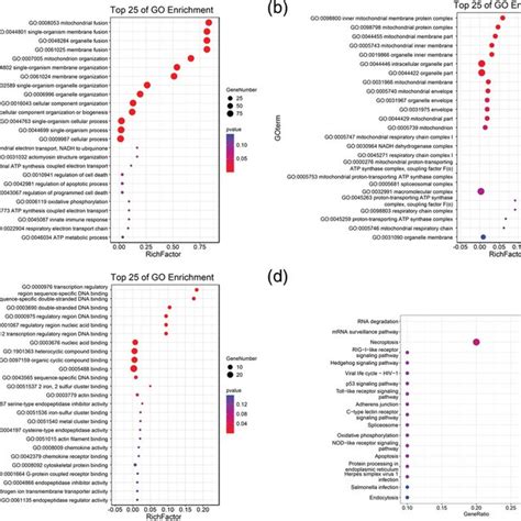 Go Ac And Kegg Analyses D Of The Positive Selection Genes Which