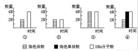 某生物体细胞中染色体数为 N 下图中属于有丝分裂中期和减数第二次分裂后期的依次是 青夏教育精英家教网