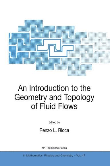 Introduction To The Geometry And Topology Of Fluid Flows Renzo L Ricca Bok 9781402002069