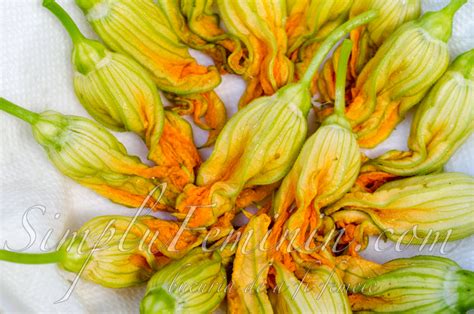 Flori De Dovlecel Pane Simplu Feminin