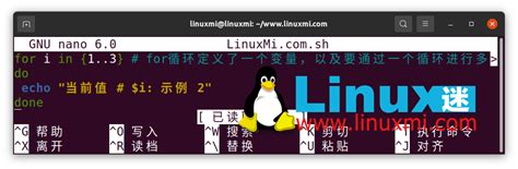 如何在 Linux Bash Shell 脚本中使用 for 循环 Linux迷
