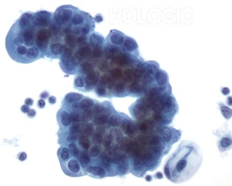 Expand All Collapse All