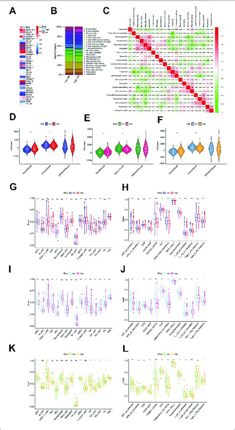 Variations In Immune Related Genes And The Infiltration Download