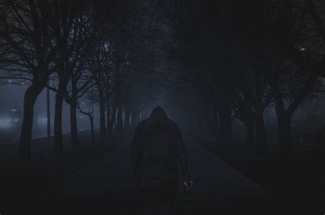 Fotos Gratis Bosque Camino Silueta Persona Niebla Noche Luz De