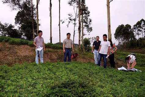 下半年開始，農村宅基地出現3點變化，有農民樂了，有農民愁了 每日頭條