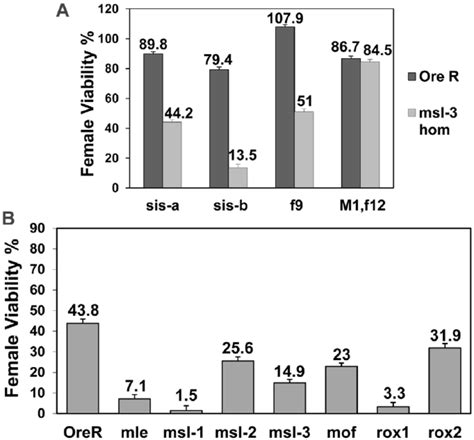Msls Act Early In The Female Sex Determination Process And All Key Download Scientific Diagram