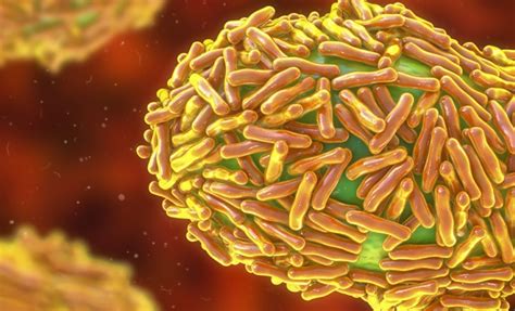 Governor Hochul Announces Latest Monkeypox Vaccine Distribution