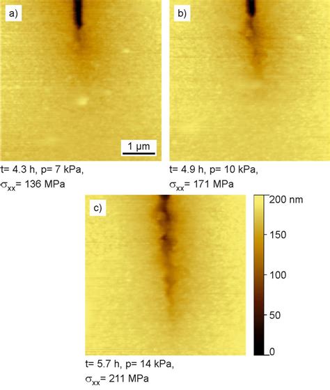 3 Afm Scans From The Region In Front Of The Notch Tip During A Bulge Download Scientific