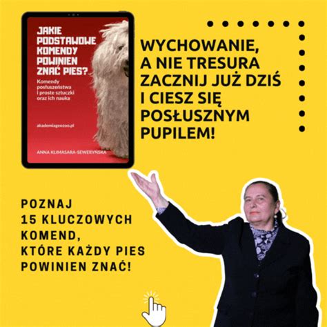 Psie Palce Budowa Psich łap Wilczy Pazur Geozoo