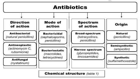 Systematic Bacteriology Set Of Microbiology Pptx