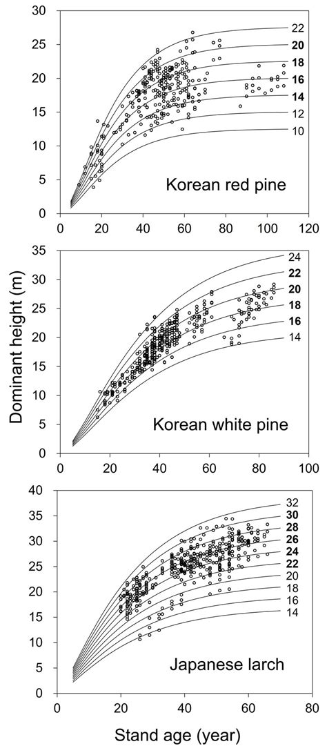 Site Index Curves Based On The Chapmanrichards Function With Download Scientific Diagram