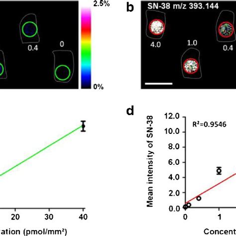 Ms And Msms Spectra Of Drug Compounds A Maldi Ft Icr Mass Spectrum