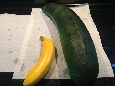 Massive Zucchini I Just Harvested From My Garden X Post From Rpics
