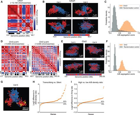 Genome Scale Imaging Of The 3d Organization And Transcriptional Activity Of Chromatin Pmc