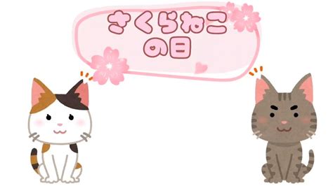 きょうは、【さくらねこの日🌸】 Youtube