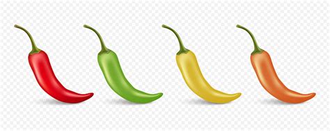 벡터 3d 현실적인 빨간색 전체 신선하고 뜨거운 칠리 페퍼 근접 촬영은 흰색 배경에 격리되어 있습니다 매운 칠리 핫 또는 피망 디자인 템플릿입니다 앞면도 벡터 일러스트레이션