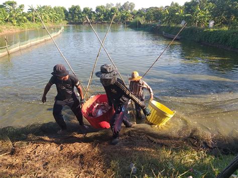 ៧ខែ ផលនេសាទជិត២ពាន់តោន ត្រូវបាននាំចេញទៅថៃ និងវៀតណាម Thmey Thmey 25