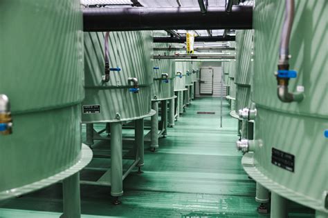 Dassai Sake Brewery A New Generation Of Sake Brewing In Japan